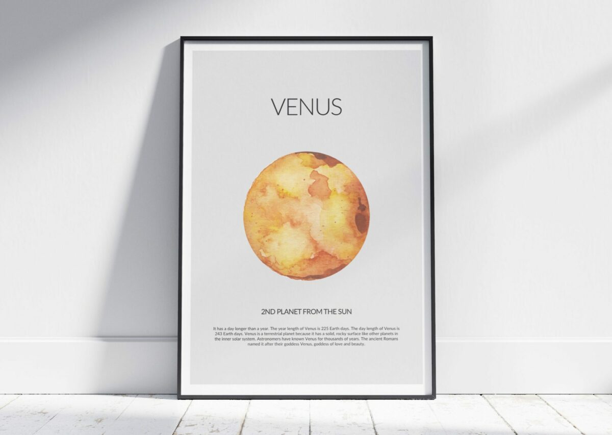 Poster - Venus - Wallable