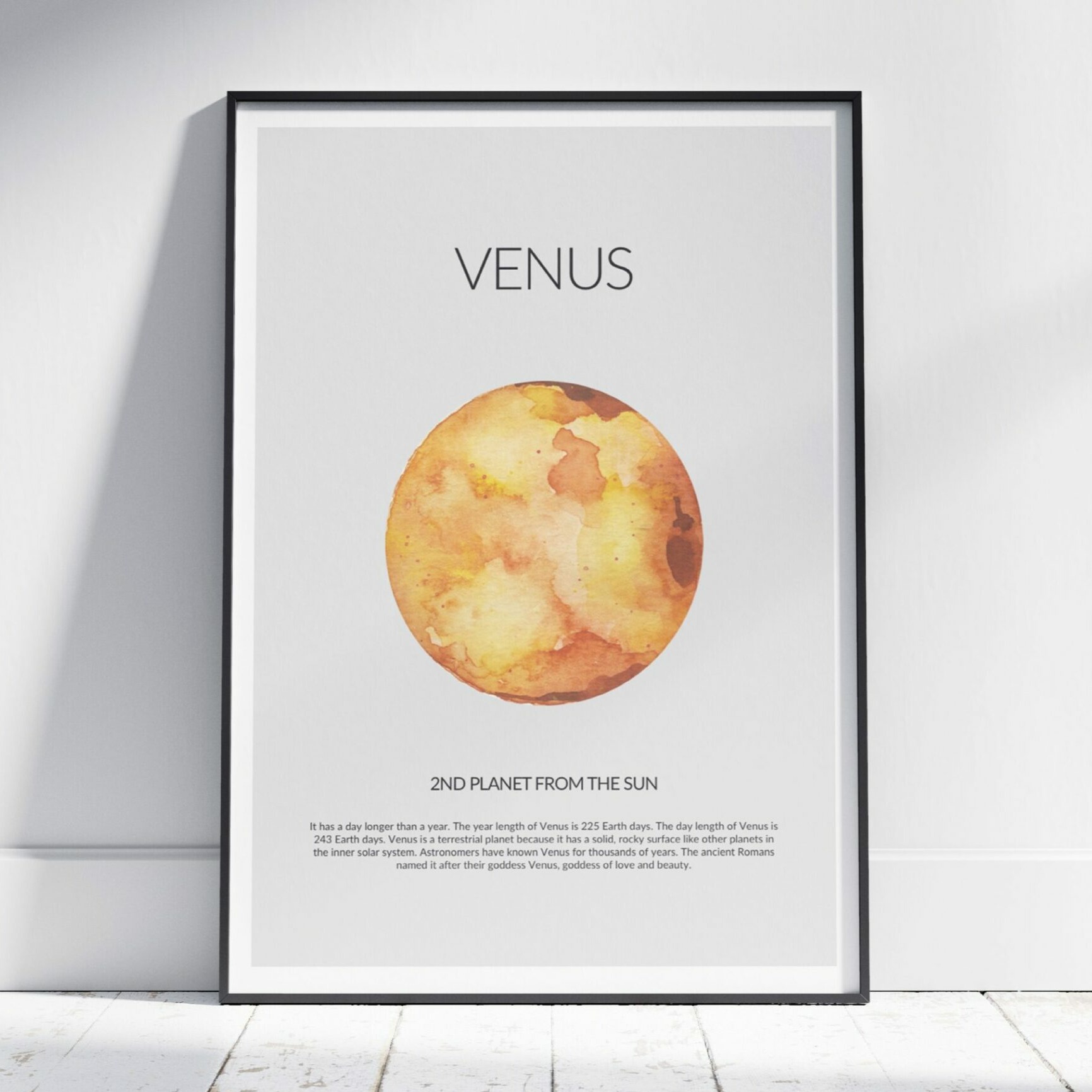 Poster - Venus - Wallable
